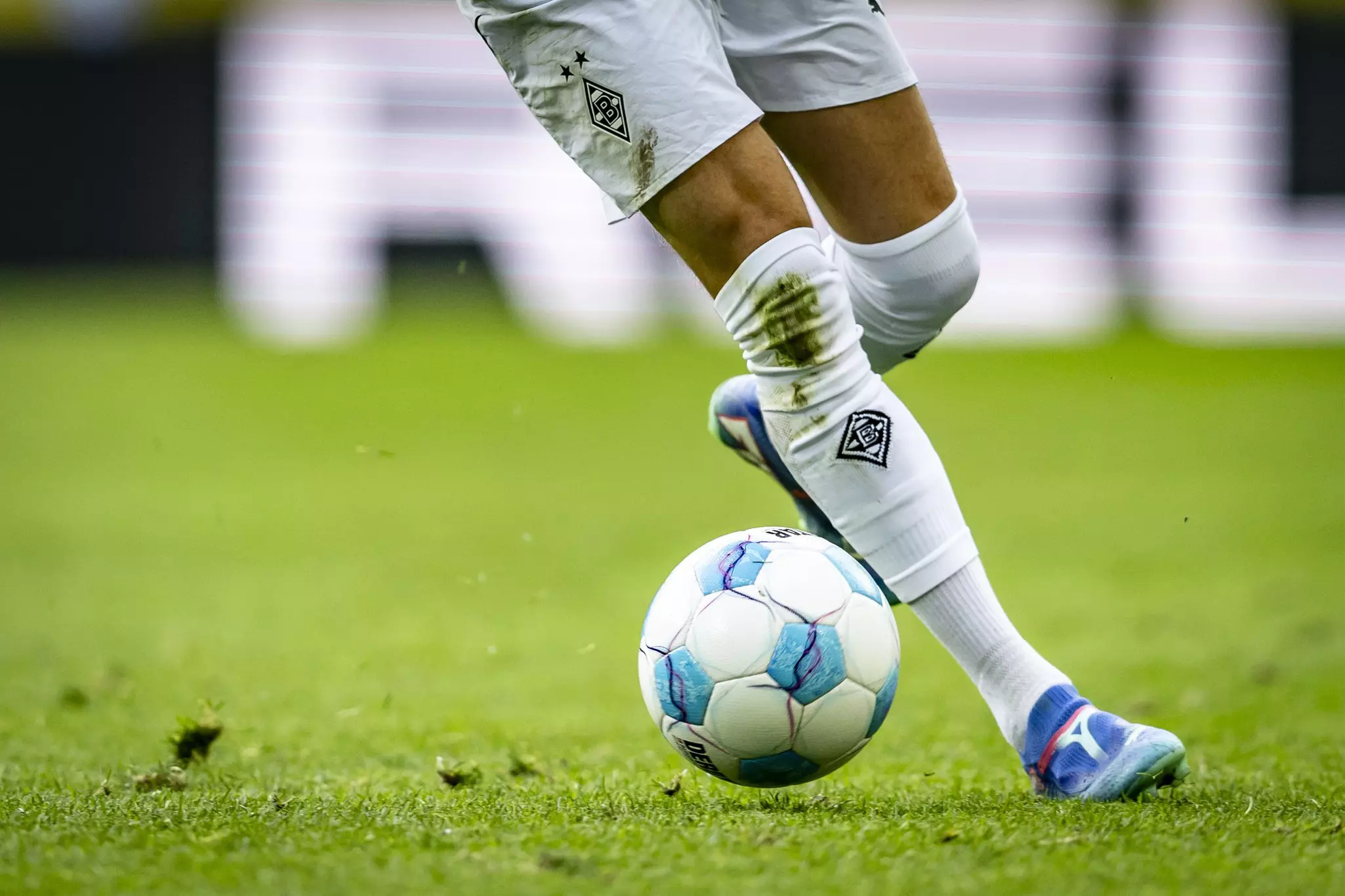 KW 19/2025: Das passiert bei den Fohlen | Borussia Mönchengladbach ...