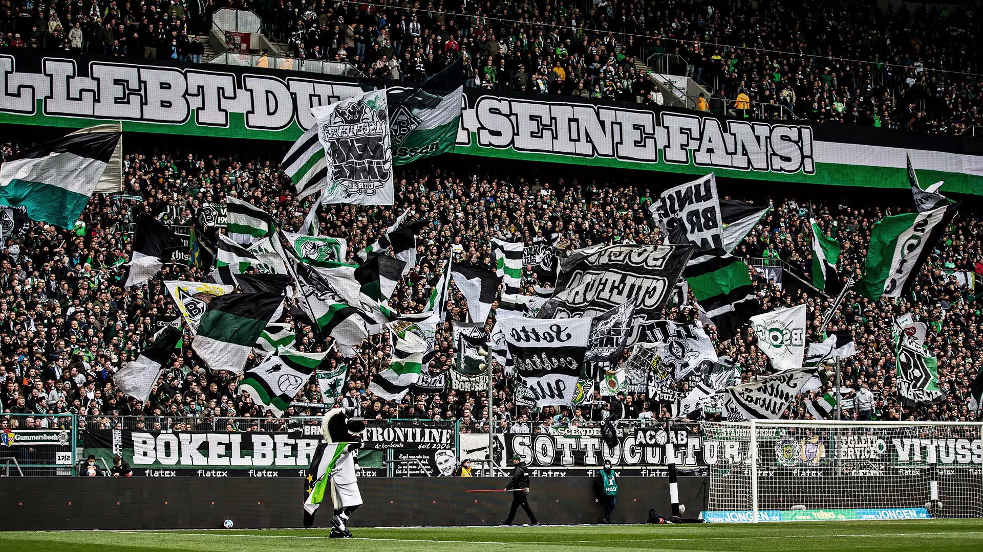 About us | Borussia Mönchengladbach | Official Website